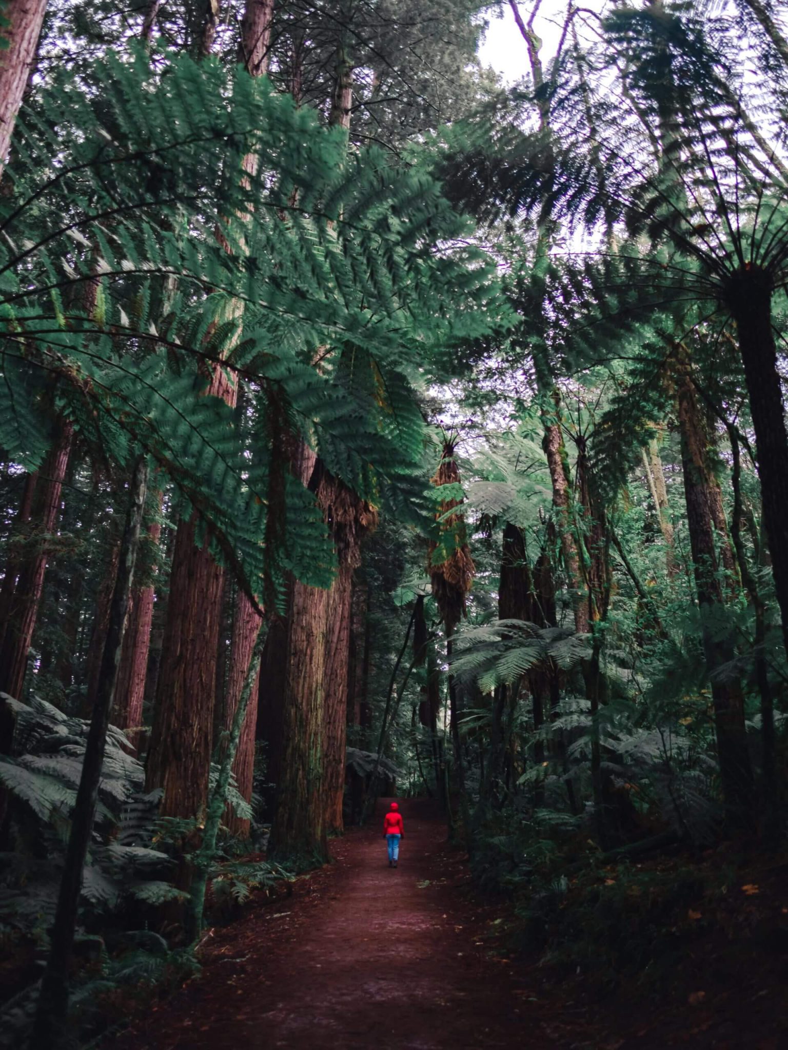 Why Spring is the Best Time to Visit New Zealand | The Adventures Atlas