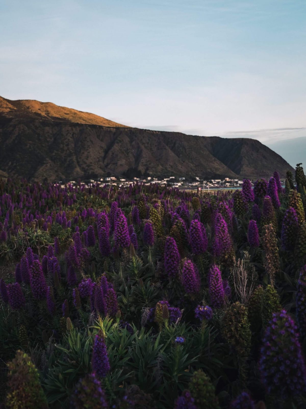 Why Spring is the Best Time to Visit New Zealand | The Adventures Atlas