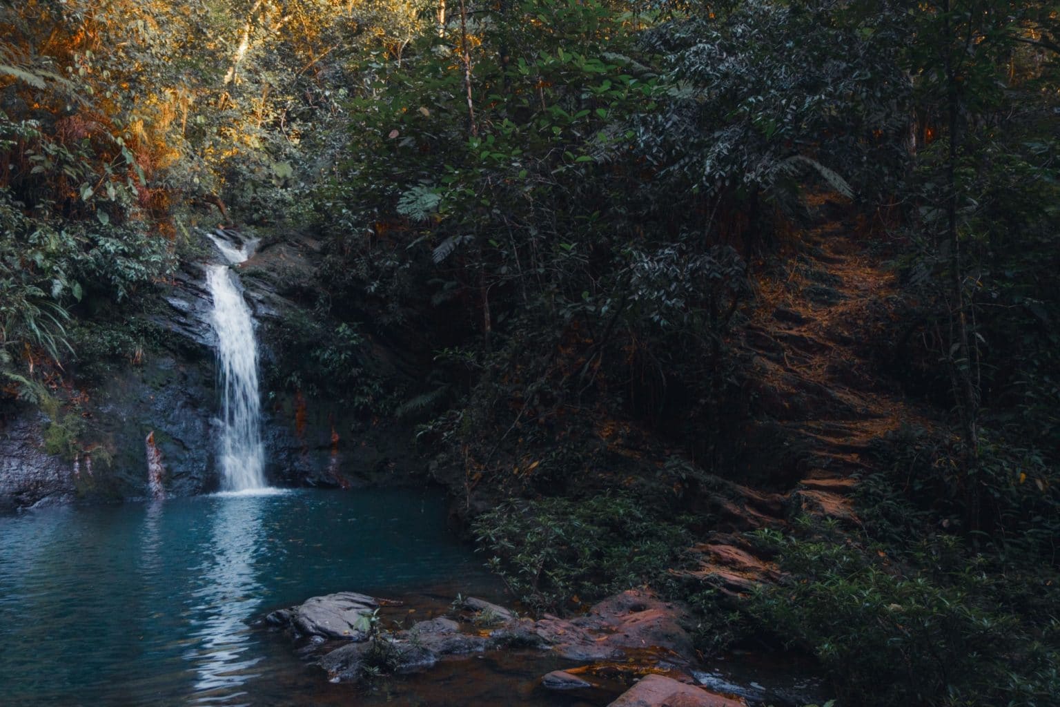 Hiking the Tiger Fern Falls Trail in Cockscomb Basin Wildlife Sanctuary ...