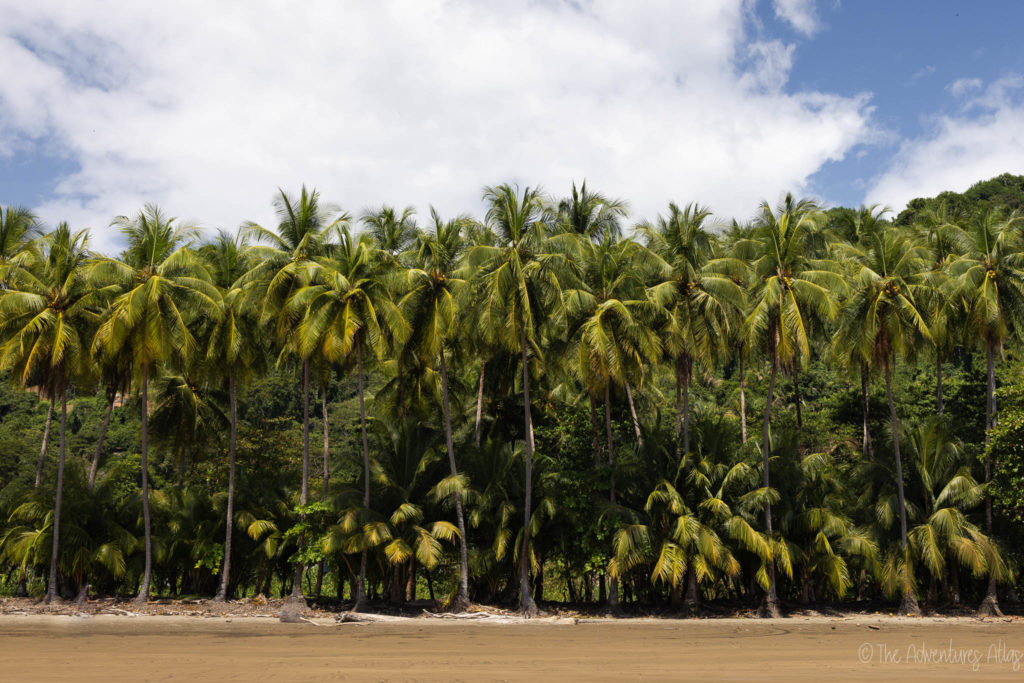 15 Best Things to Do in Drake Bay Costa Rica & Ultimate Travel Guide ...